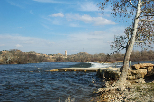 Azud - Sástago :: SIPCA